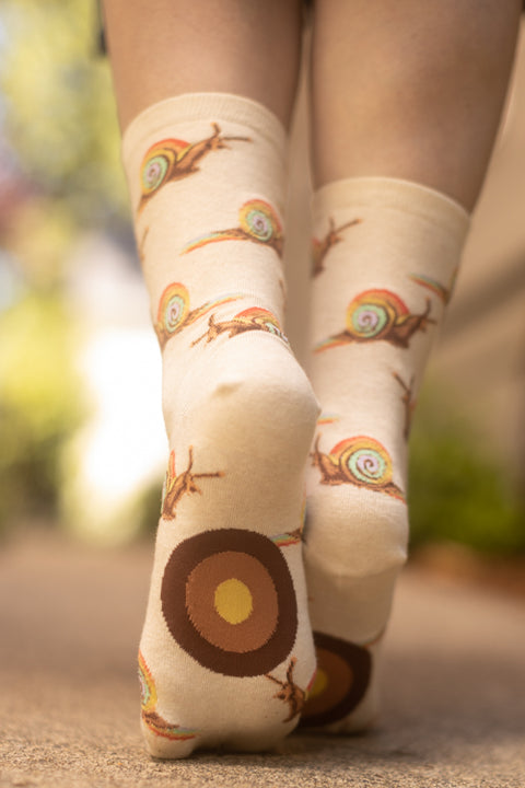 Rainbow Snail Crew – Sock Dreams